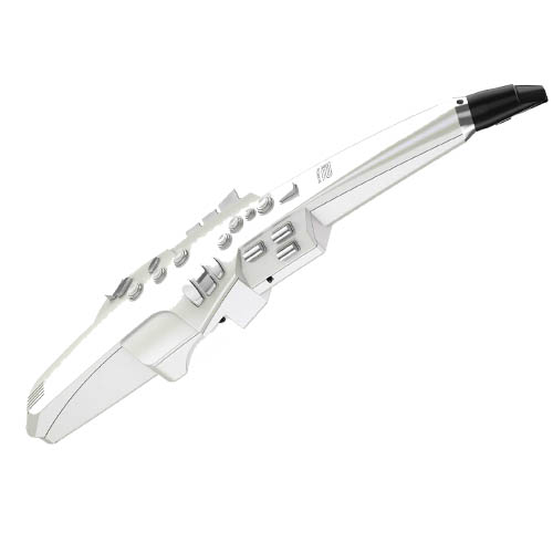 Buy Roland AE 10 Digital Saxophone , Best Online Price In India ...