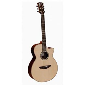 Buy Faith FVHG-HEX HiGloss Series Venus Concert Cutaway Acoustic ...