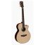 Buy Faith FVHG-HEX HiGloss Series Venus Concert Cutaway Acoustic ...